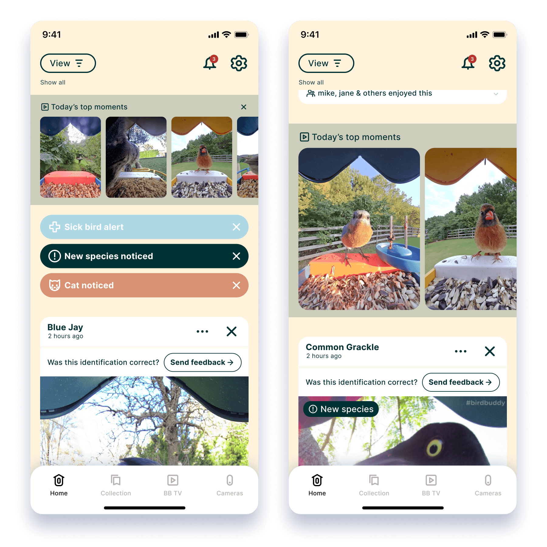 Navigating the App – Birdbuddy