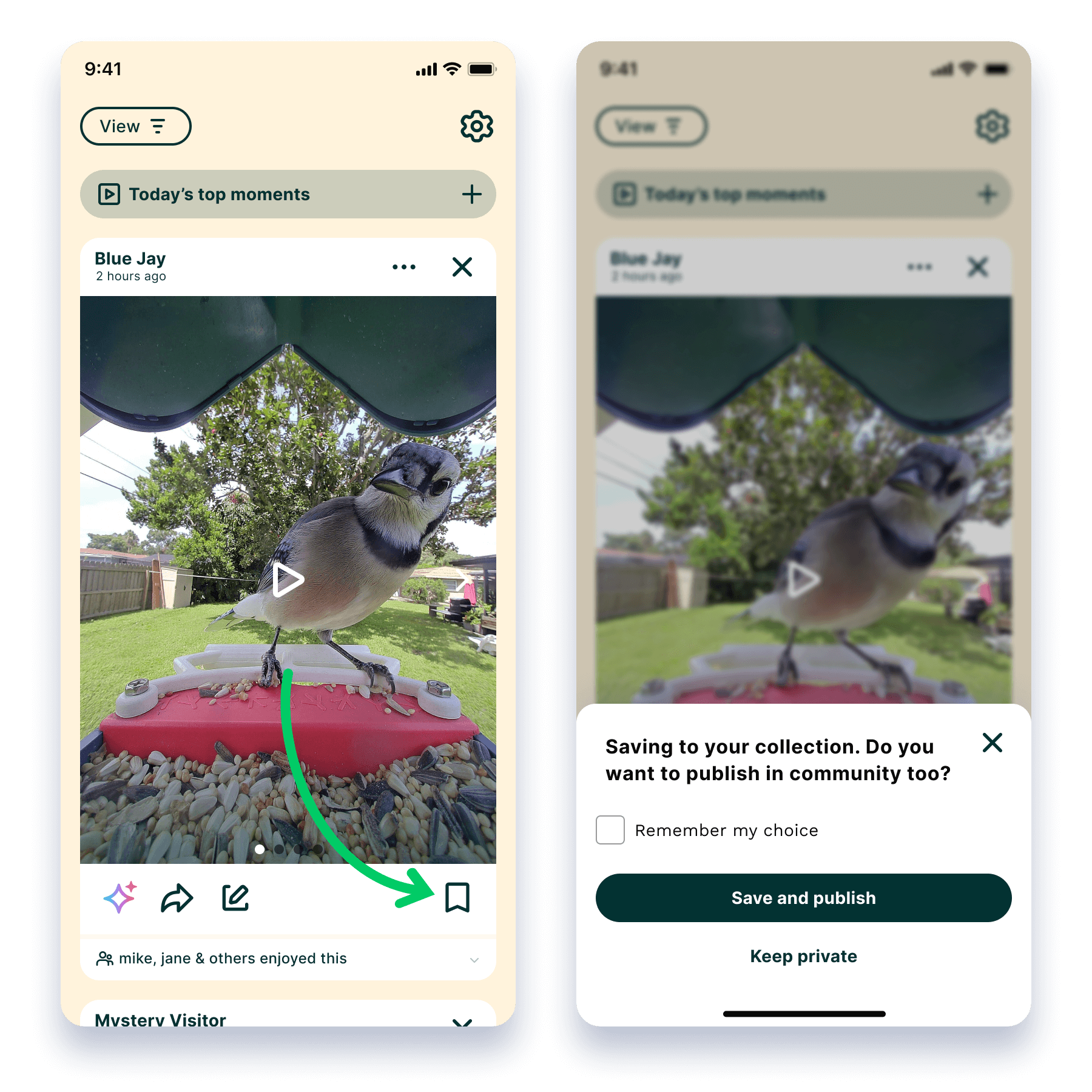 Navigating the App – Birdbuddy