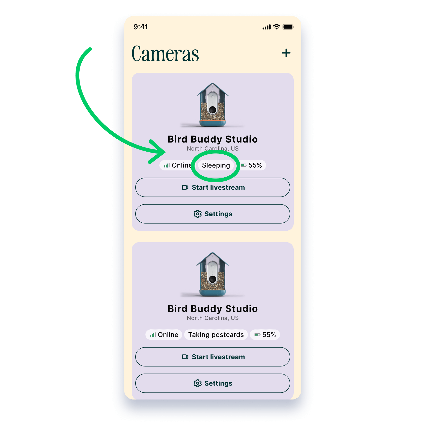 How to Set Up Bird Buddy - Birds
