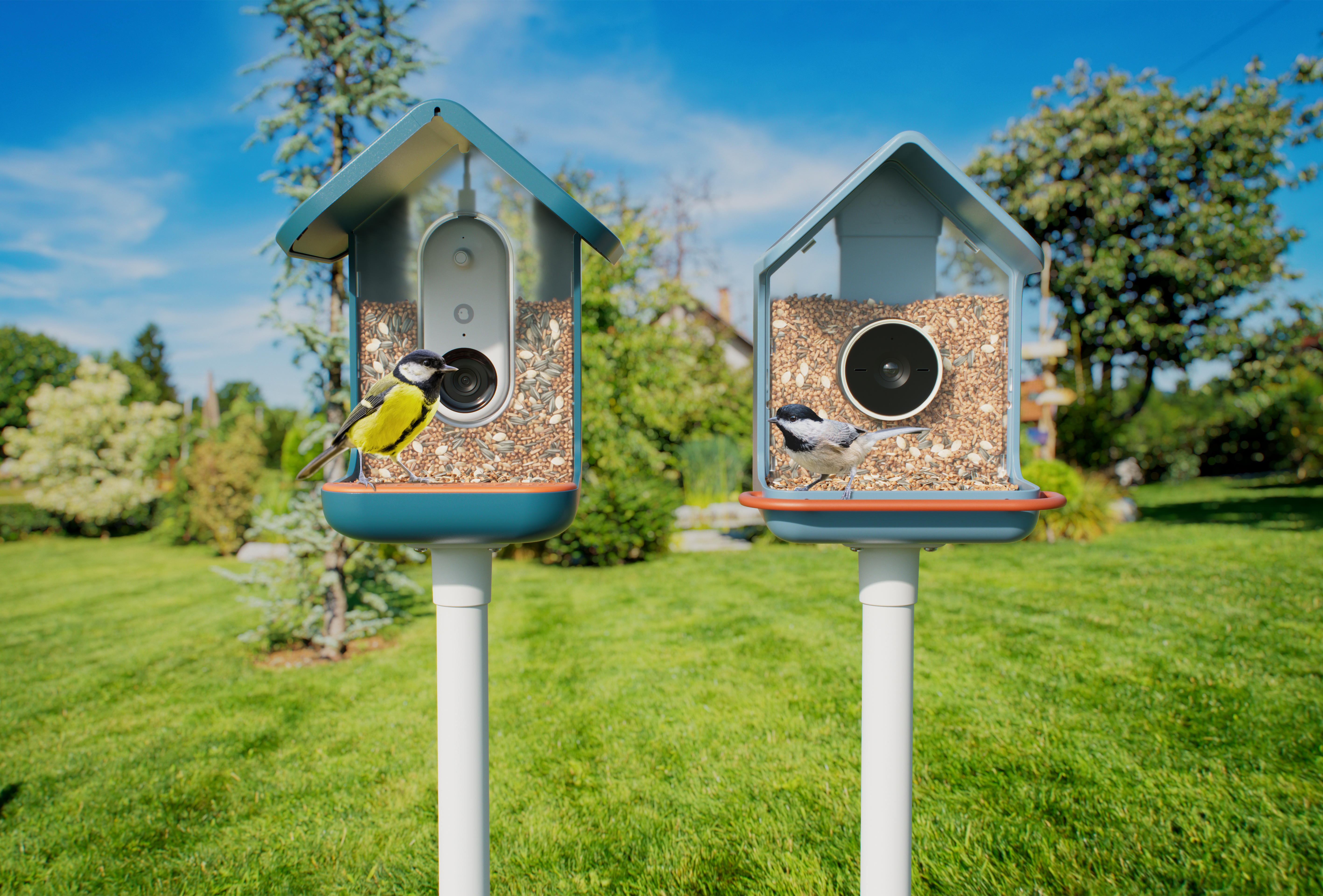Universal pole mount – Birdbuddy