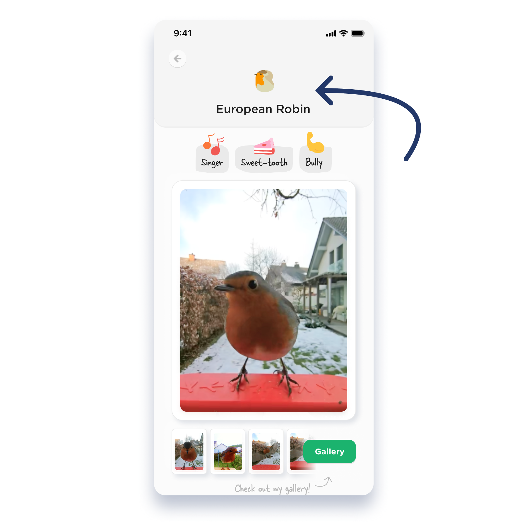 Bird profiles – Birdbuddy